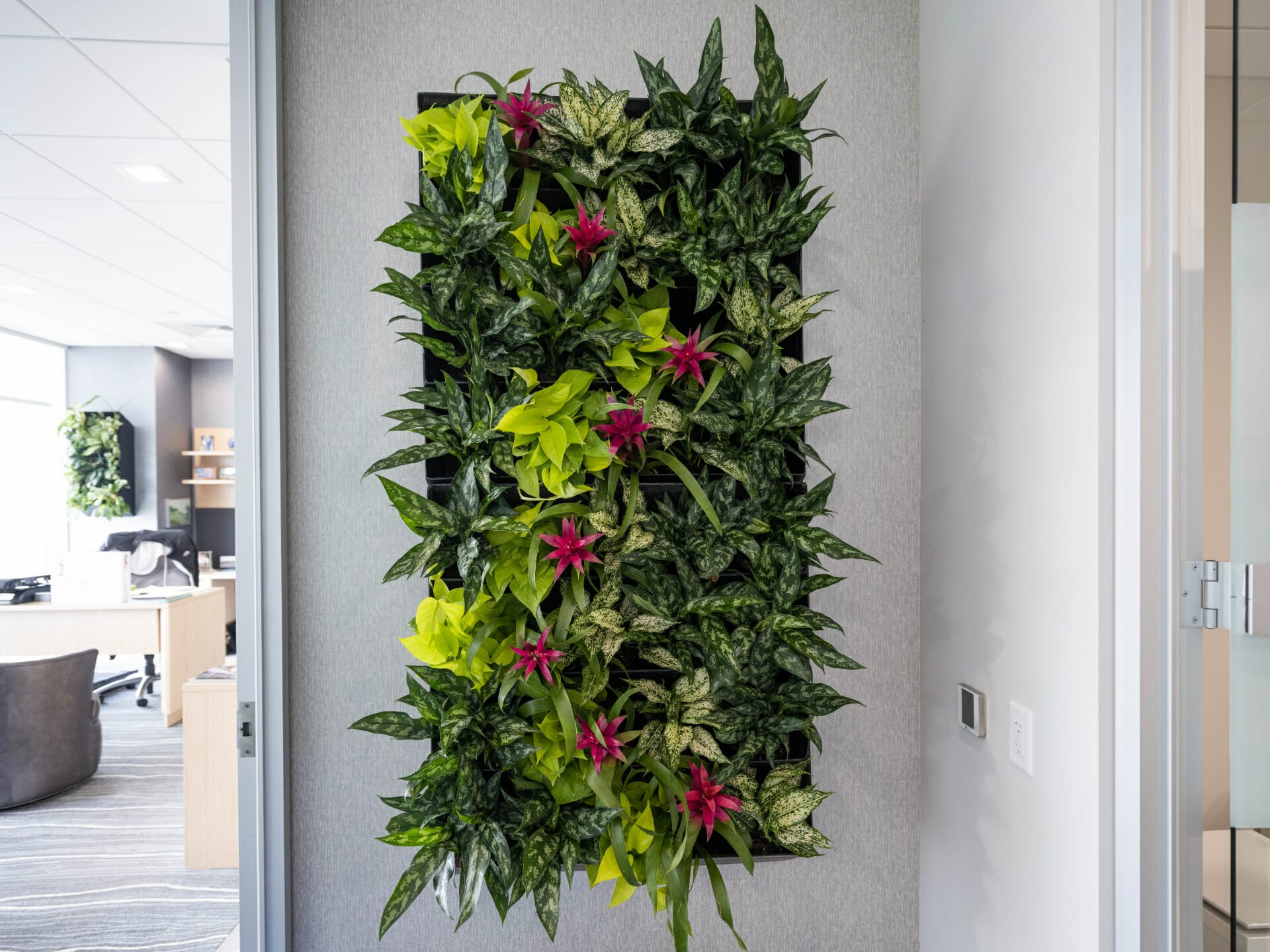 The Benefits of Portable Living Plant Walls | Plantique